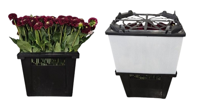 Pagter - Packaging and Presentation Systems for Cut Flowers
